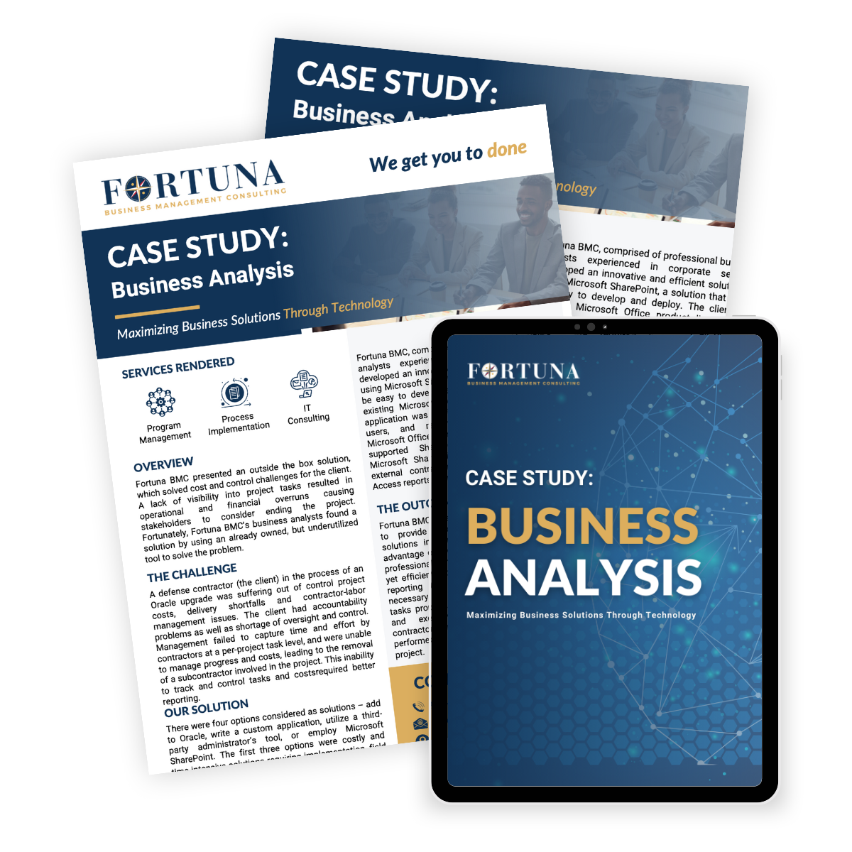 Case Study #2 - Business Analysis - Fortuna